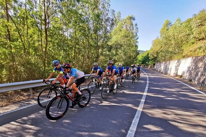 Etna Bike Tour - Cycling in Sicily - Who Will Love This Tour?