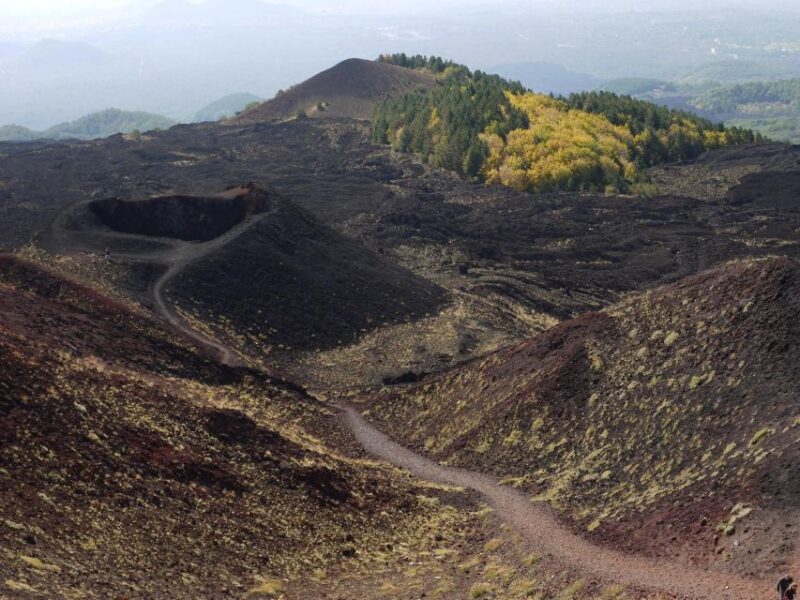 Etna by Panoramic Bus, Audioguide 9 languages, from Catania - Frequently Asked Questions