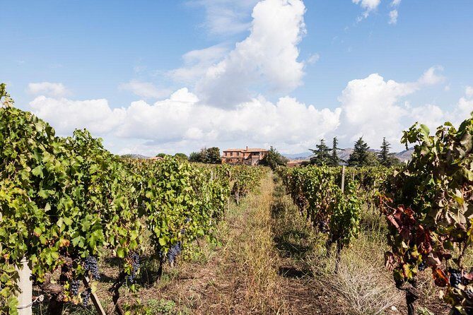 Etna DOC & Organic Wine tasting and tour of the 1815 historic winery - Authentic Voices: What Travelers Say
