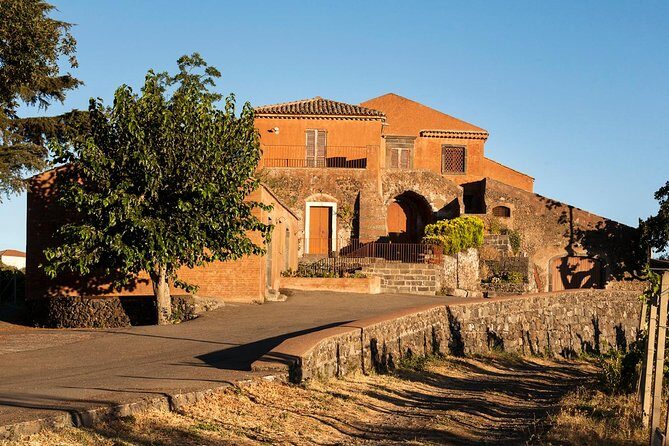Etna DOC & Organic Wine tasting and tour of the 1815 historic winery - Summing Up: Who Will Love This Experience?