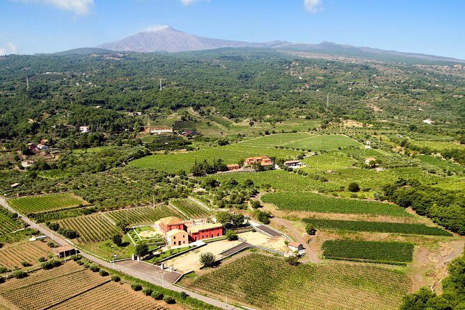 Etna DOC & Organic Wine tasting and tour of the 1815 historic winery - Final Thoughts