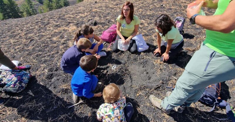 Etna Family Tour: private excursion on Etna mt. for families - Analyzing the Cost and Overall Value