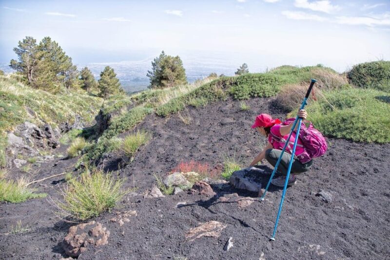Etna Family Tour: private excursion on Etna mt. for families - Final Thoughts