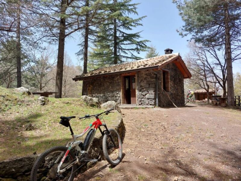 Etna: Half-Day Mt Etna Mountain Bike Tour - Final Thoughts