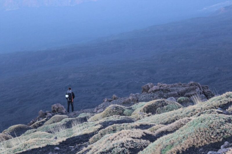 Etna: hiking to a stunning viewpoint over Valle del Bove - Who Should Consider This Tour?