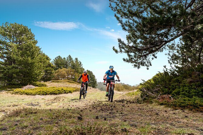 Etna in MTB Half day small group - Detailed Breakdown of the Itinerary