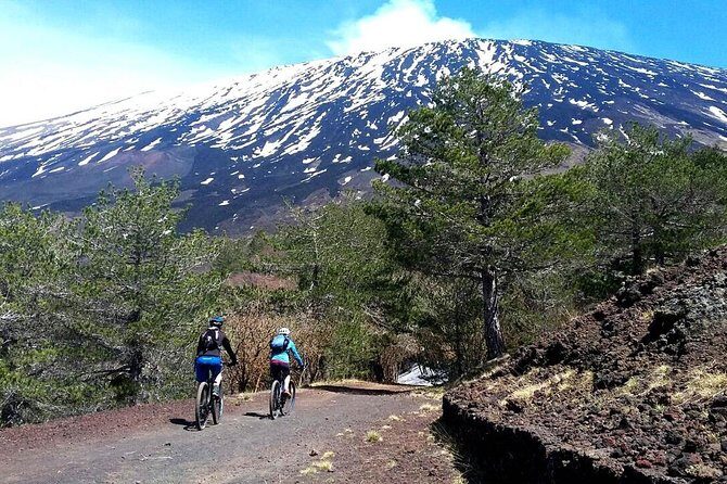 Etna in MTB Half day small group - Practical Considerations and Value