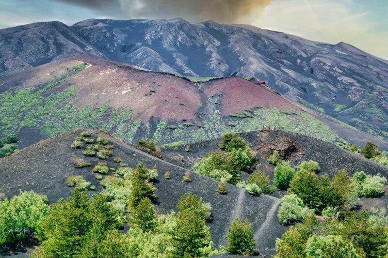 Etna Monti Sartorius, Ancient wine cellar Slow Food tasting - Authentic Reviews and Insights