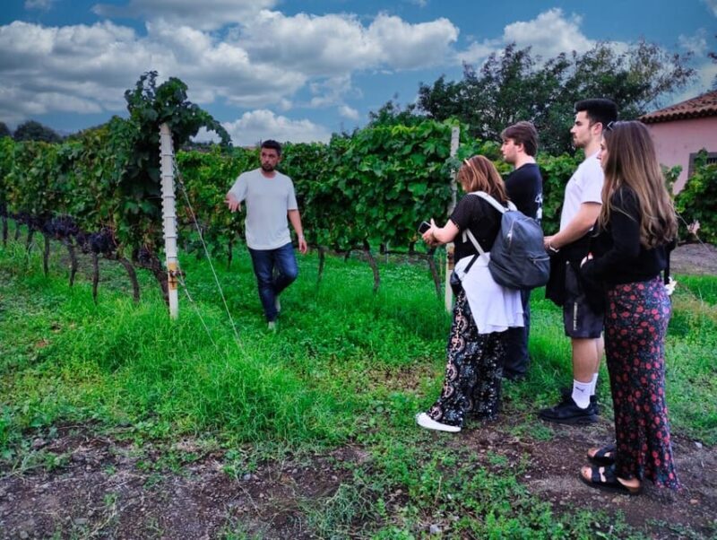 Etna Monti Sartorius, Ancient wine cellar Slow Food tasting - The Sum Up
