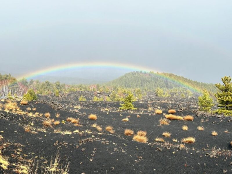 Etna Morning Tour: an adventurous journey to discover Etna. - Food and Refreshments