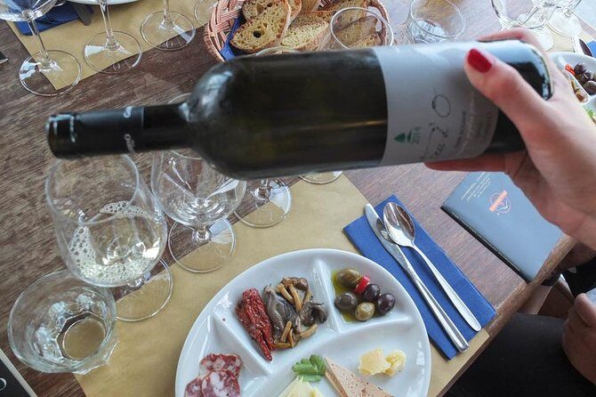 Etna Private tour from Messina Cruise Terminal + Lunch at Winery - Key Points