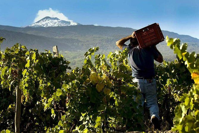 Etna Private tour from Messina Cruise Terminal + Lunch at Winery - What We Love About This Tour