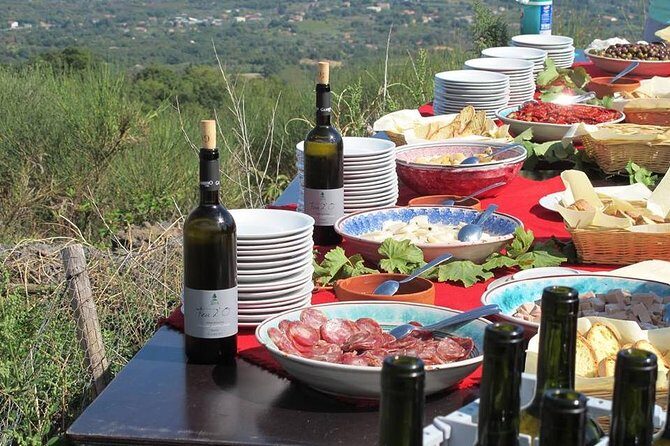 Etna Private tour from Messina Cruise Terminal + Lunch at Winery - What Could Be Better