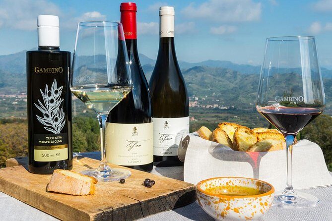 Etna Private tour from Messina Cruise Terminal + Lunch at Winery - Detailed Breakdown of the Experience