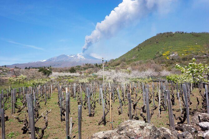 Etna Private tour from Messina Cruise Terminal + Lunch at Winery - Authenticity Meets Comfort: Who This Tour Is for