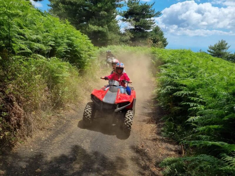 Etna Quad Tour with private transport - Who Should Consider This Tour?