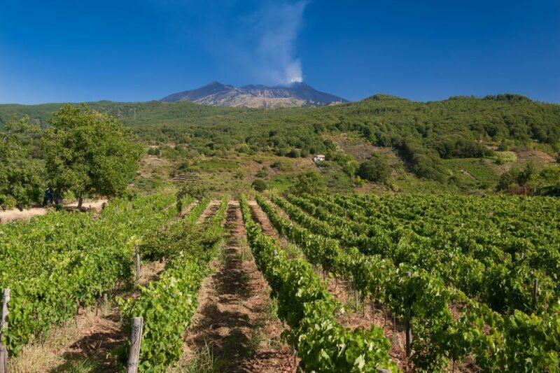 Etna Quad & Wine Combo Private Tour - Exploring the Tour: Details, Experience, and What to Expect