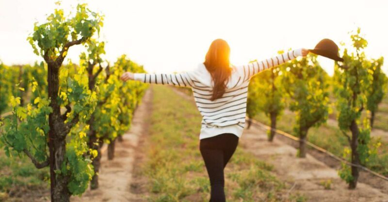 Etna Quad & Wine Combo Private Tour - The Value of the Experience