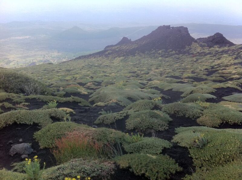 Etna: Sunset Tour on the Volcano - Key Points
