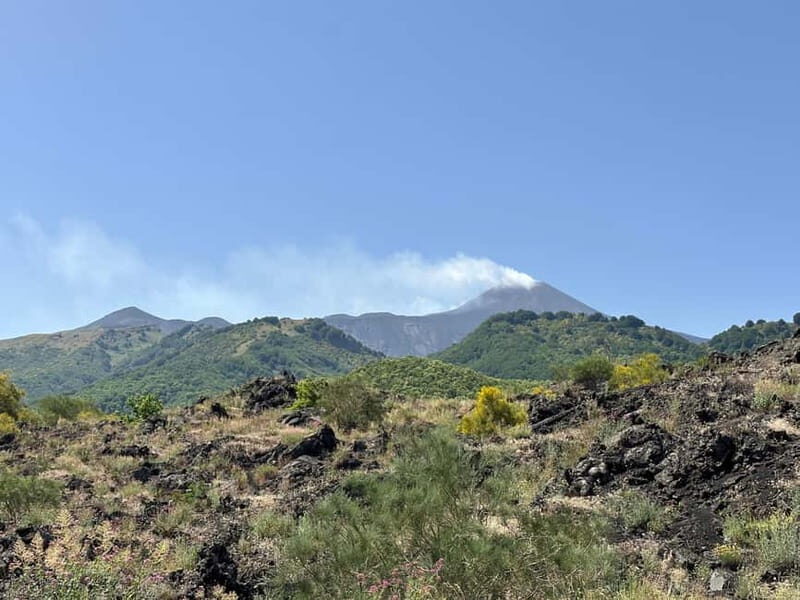 Etna Tour - HalfDay Small Group & licensed Tour Guide - Key Points