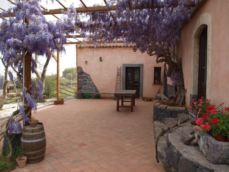 Etna: Tour in a Vintage Car with Cooking Class and Pickup - The Sum Up