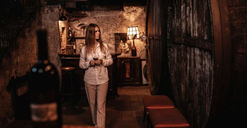 Etna: Urban Winery, Vineyards Walk & Wine Tasting at Sunset - A Detailed Look at the Tour