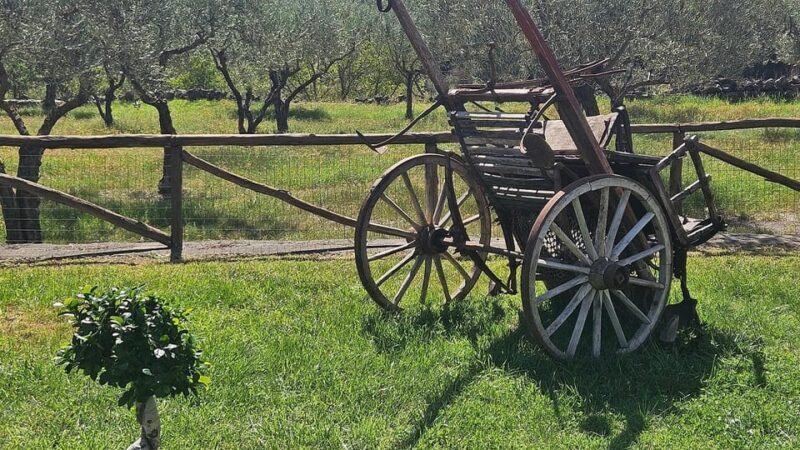 ETNA VILLAGES: OIL & RICOTTA TASTING with Lunch - A Closer Look at the Itinerary