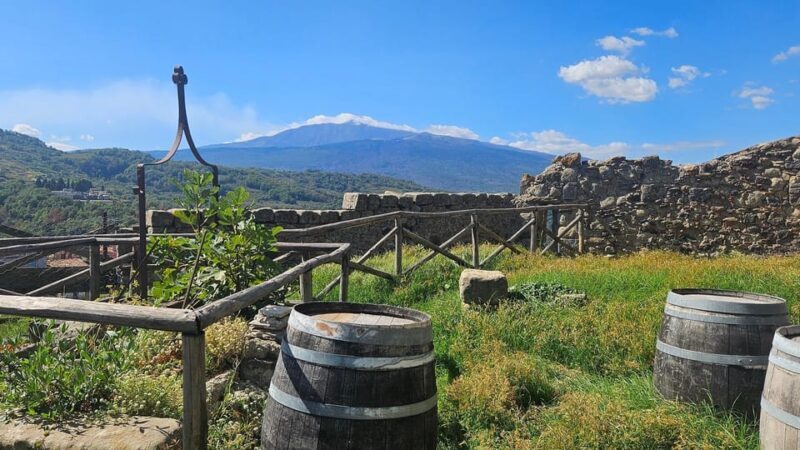 ETNA VILLAGES: OIL & RICOTTA TASTING with Lunch - Practical Details That Make or Break the Experience