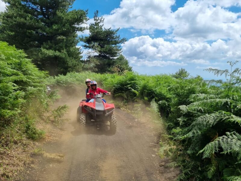 Etna volcano: Etna grand tour by quad bike with cave and lava flow visit - Key Points