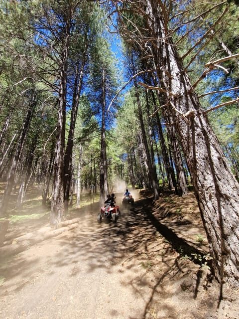Etna volcano: Etna grand tour by quad bike with cave and lava flow visit - Introduction: What Makes This Tour Stand Out?