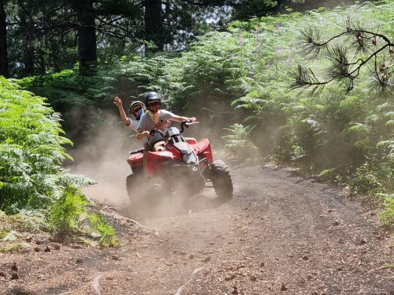 Etna volcano: Etna grand tour by quad bike with cave and lava flow visit - What’s Included and What to Bring