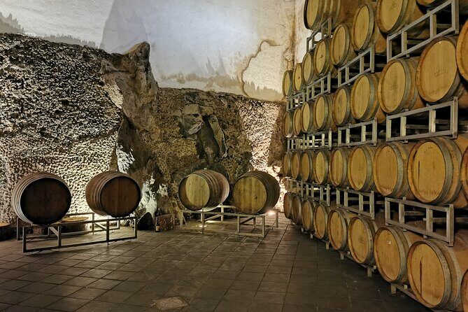 Etna Wine And Taormina From Messina - Overview of the Tour