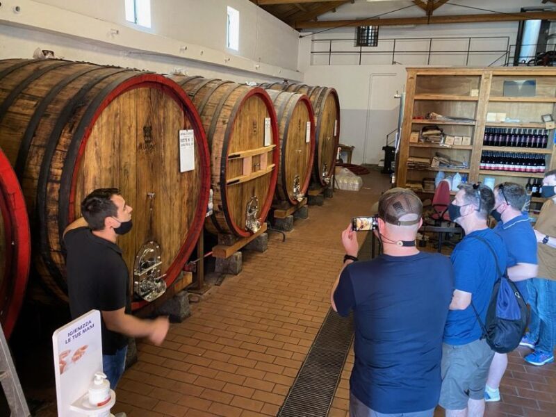 Etna & Wine Private Day Tour - Key Points
