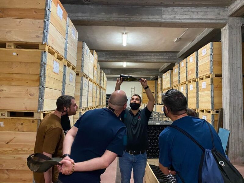 Etna & Wine Private Day Tour - Value and Pricing