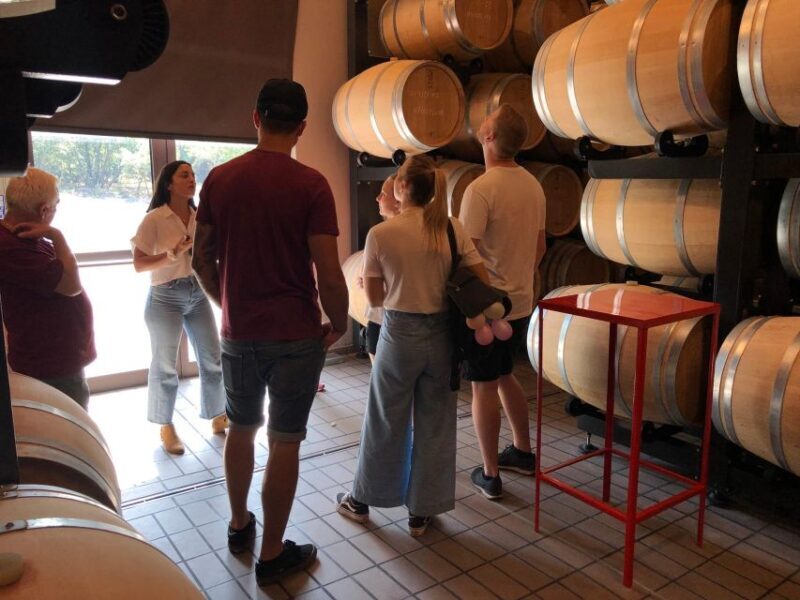 Etna & Wine Private Day Tour - The Sum Up