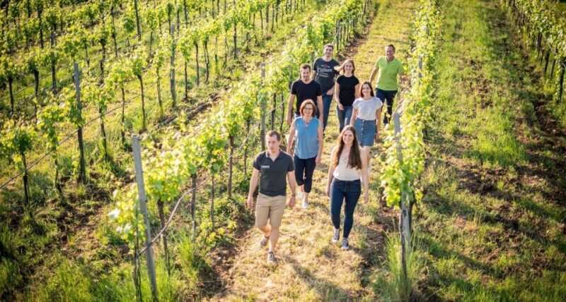 Etna Winery Wine & Food Tasting Private Tour - FAQ