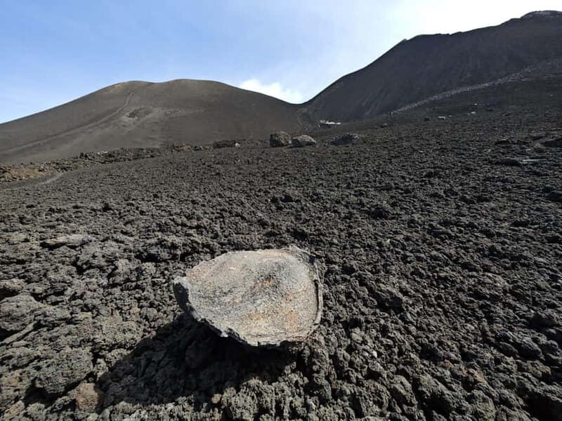 EtnaRunWalk: Hiking with GV on Europe's highest active volcano - An Introduction to the Experience