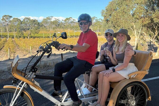 eTukTuk Adventure from Oxenberry Farm in McLaren Vale - Exploring the McLaren Vale eTukTuk Experience: An In-Depth Review
