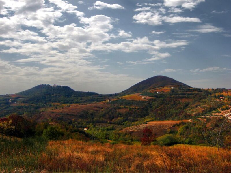 Euganean Hills Guided Wine Tour with Tasting From Padua - Key Points