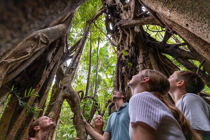 Eungella Platypus Tour - A Deep Dive Into the Eungella Platypus Tour