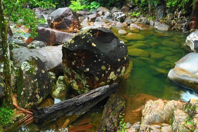 Eungella Platypus Tour - Who Should Consider This Tour?