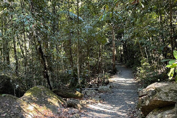 Eungella Platypus Tour - The Sum Up