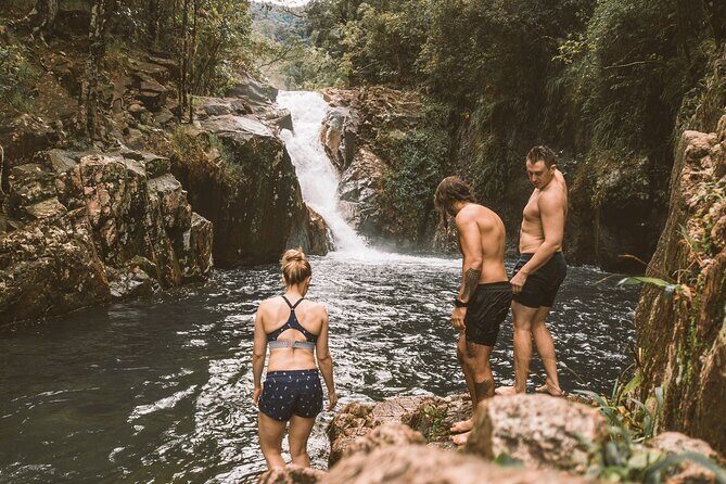 Eungella Platypus Tour - The Verdict: Is It Worth It?