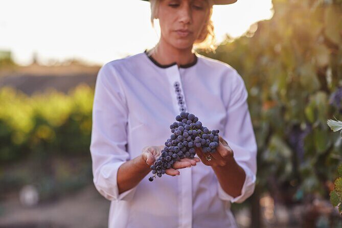 Europa Village Winery Tour including 8 Tastings & 3 Food Pairings - Introduction