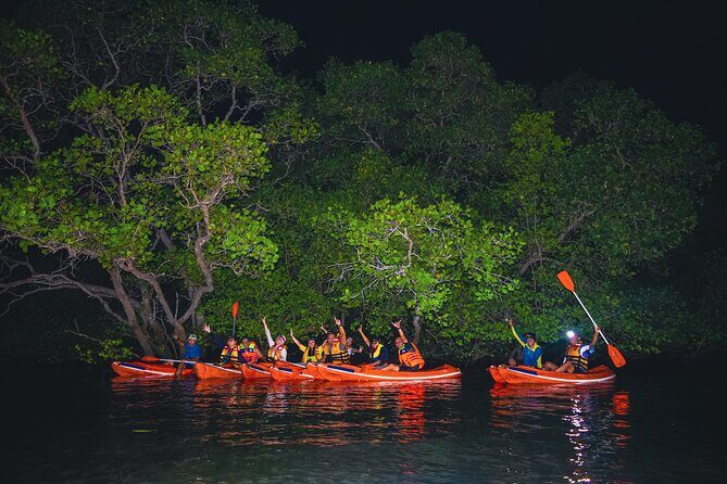 Evening Bali Mangrove Canoe Tour - Final Thoughts: Who Will Love This Experience?