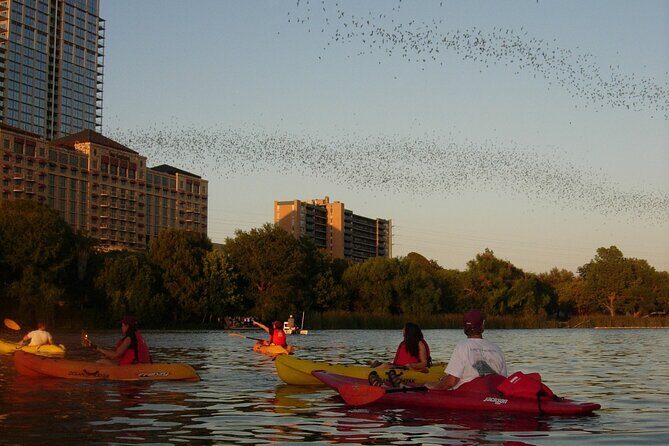 Evening Bat Watching Kayak Tour - FAQs