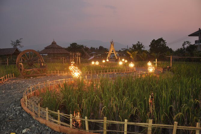 Evening Cooking Class in Organic Farm with Local Market Tour - A Warm Welcome to a Thai Culinary Adventure