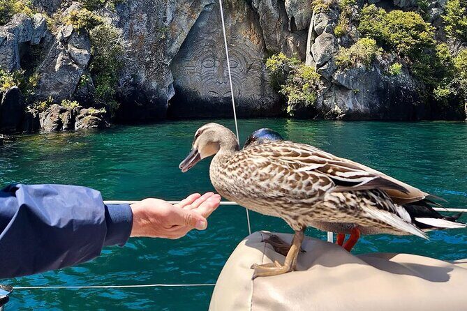 Evening Eco Sailing Adventure to Mori Rock Carvings Lake Taup - In The Sum Up
