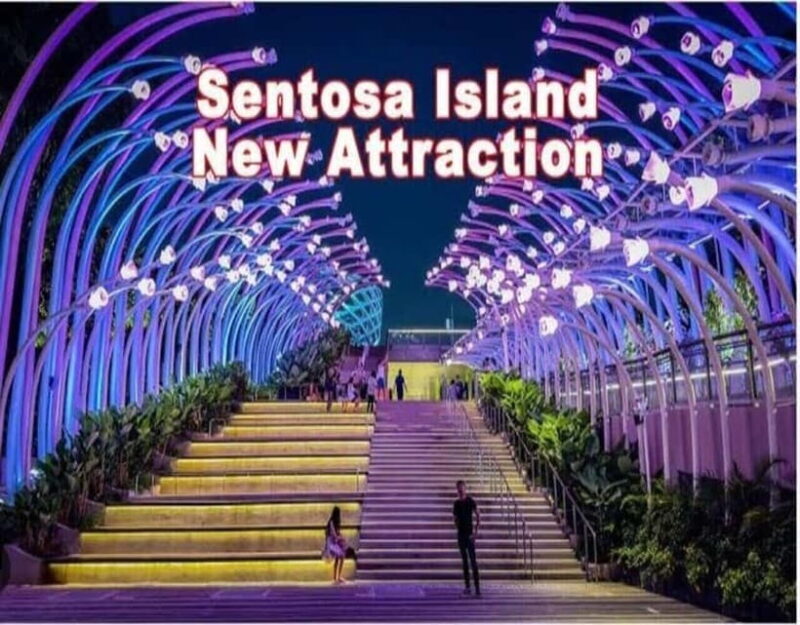 Evening Escape: Cruise, Sentosa Sensoryscape & Wings of Time - Practical Details for Travelers