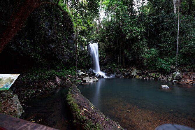 Evening Rainforest & Glow Worm Tour from Gold Coast - Who Should Consider This Tour?